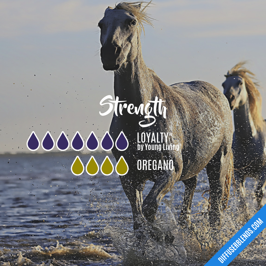 Strength | DiffuserBlends.com