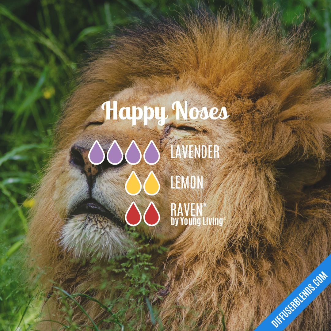 Happy Noses | DiffuserBlends.com