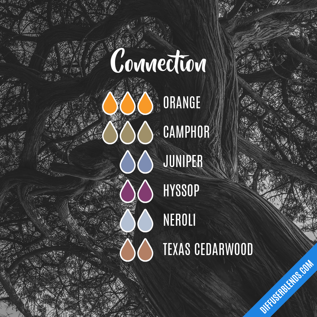 Connection | DiffuserBlends.com