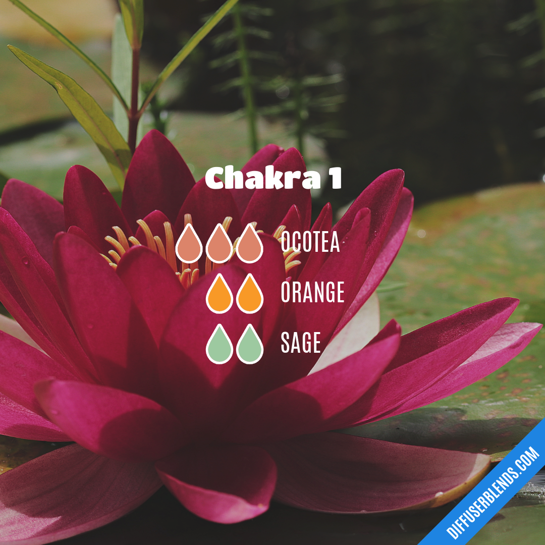 Chakra 1 | DiffuserBlends.com