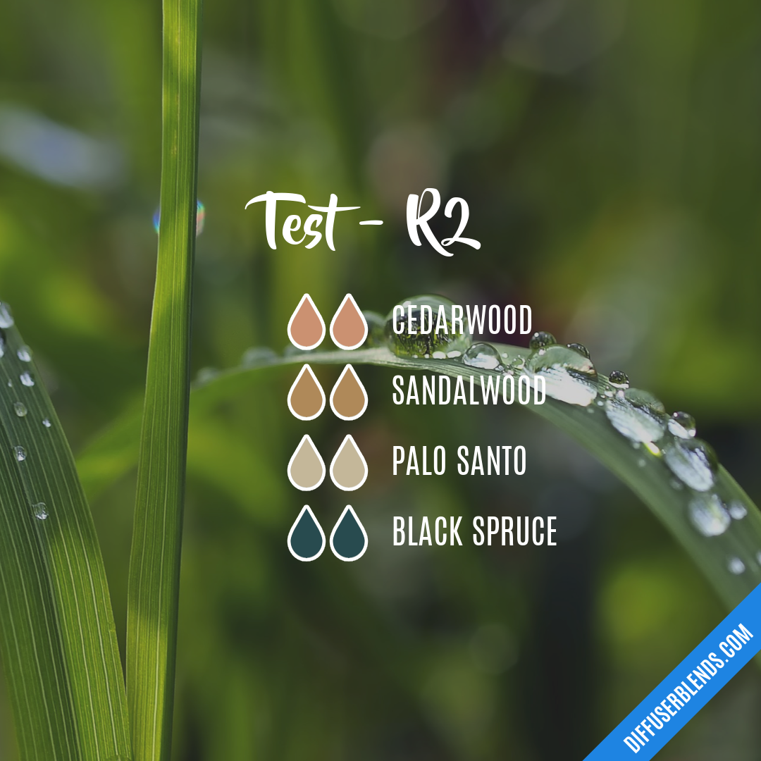 Test - R2 | DiffuserBlends.com