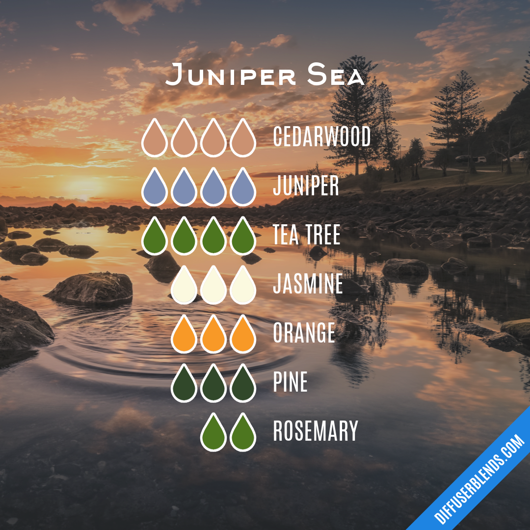 Juniper Sea | DiffuserBlends.com