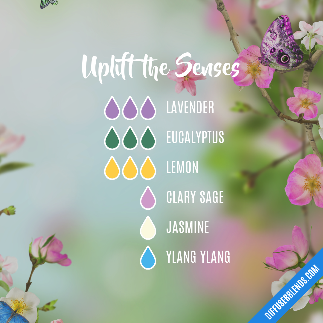 Uplift the Senses | DiffuserBlends.com