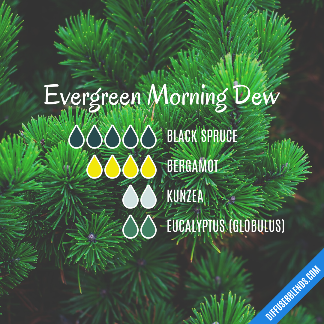 Evergreen Morning Dew | DiffuserBlends.com