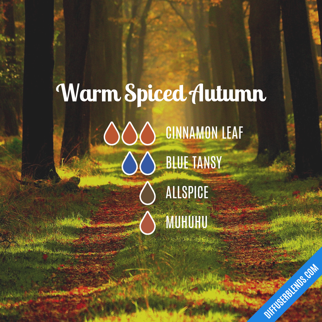 Warm Spiced Autumn | DiffuserBlends.com