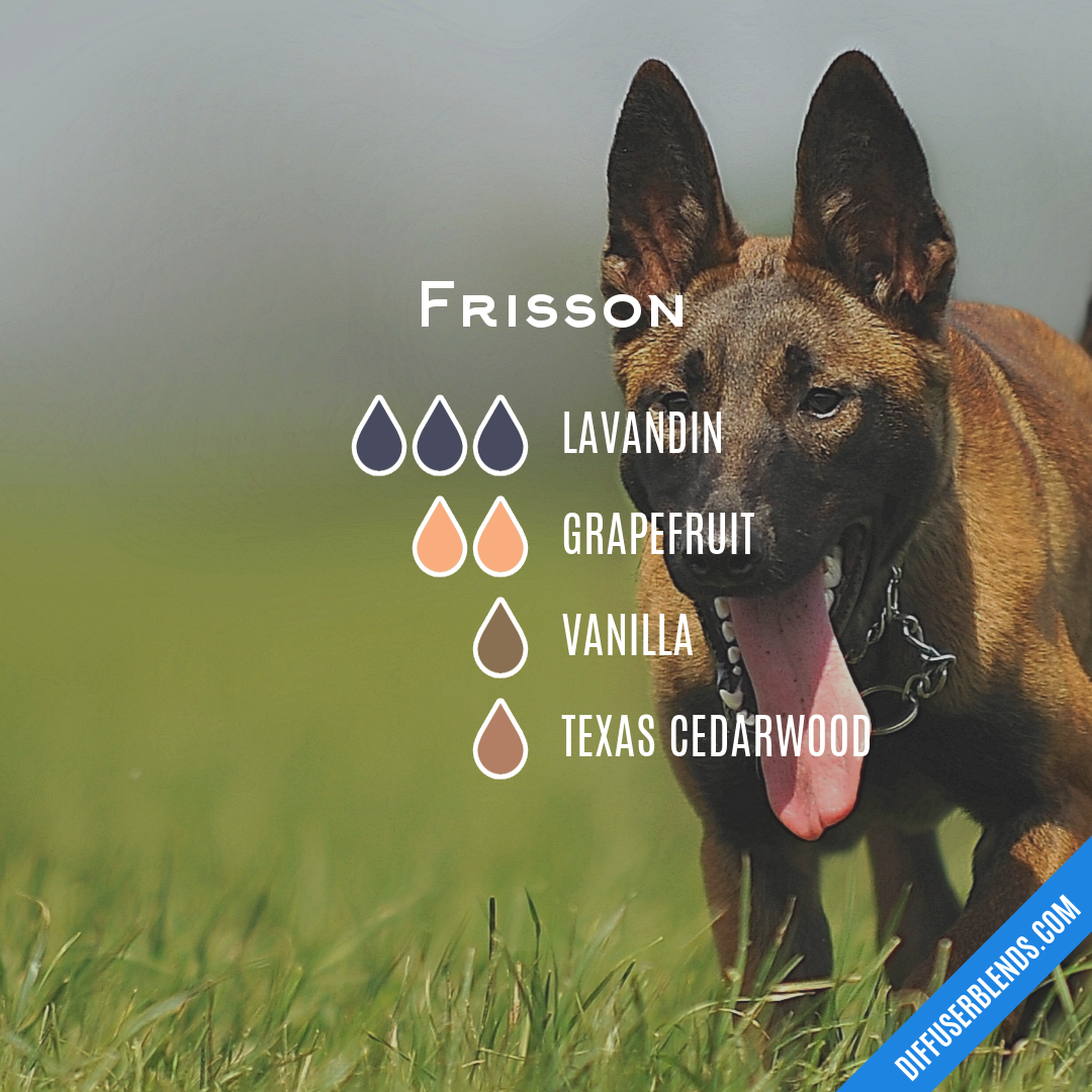 Frisson | DiffuserBlends.com