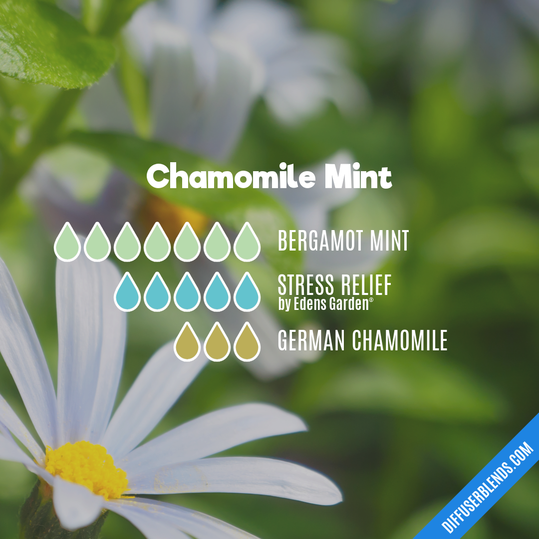 Chamomile Mint | DiffuserBlends.com