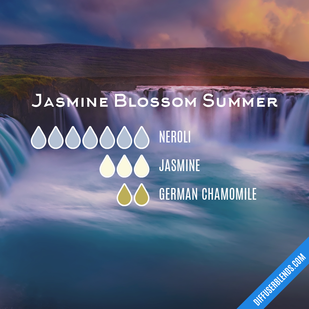 Jasmine Blossom Summer | DiffuserBlends.com