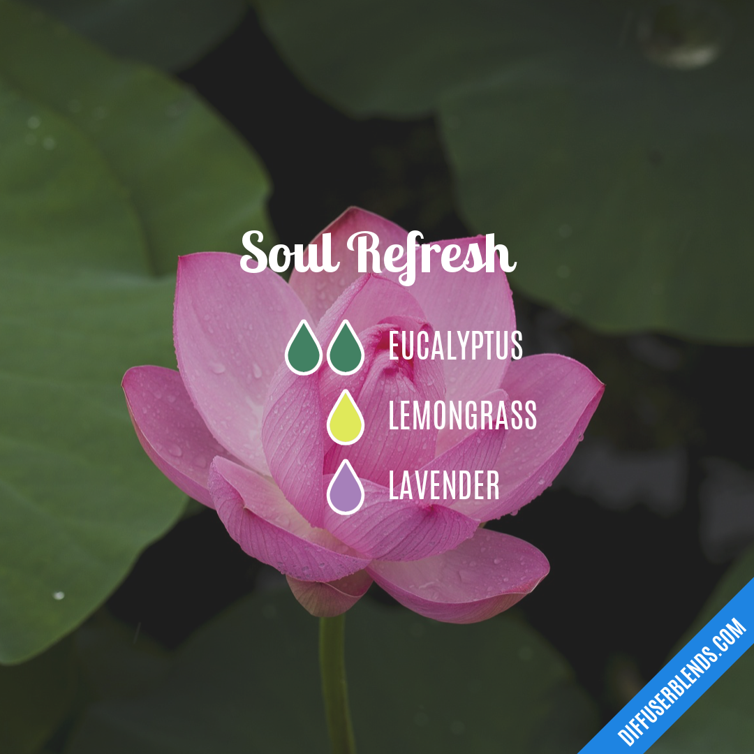 Soul Refresh | DiffuserBlends.com