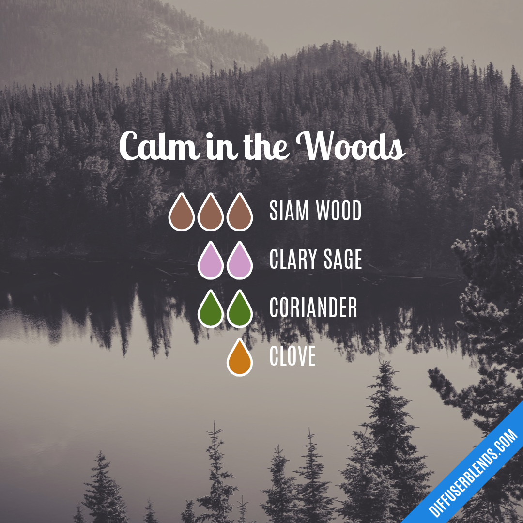 Calm in the Woods | DiffuserBlends.com
