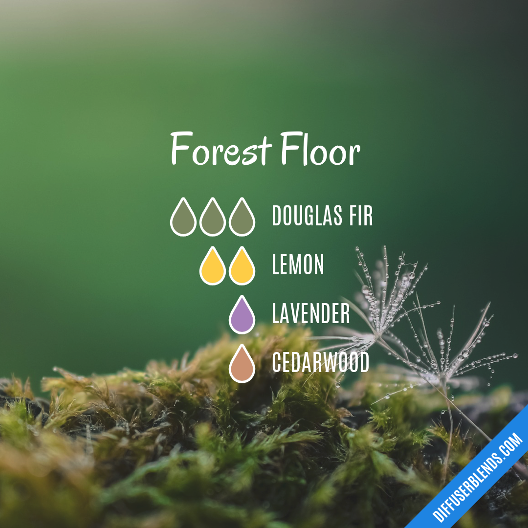 Forest Floor | DiffuserBlends.com