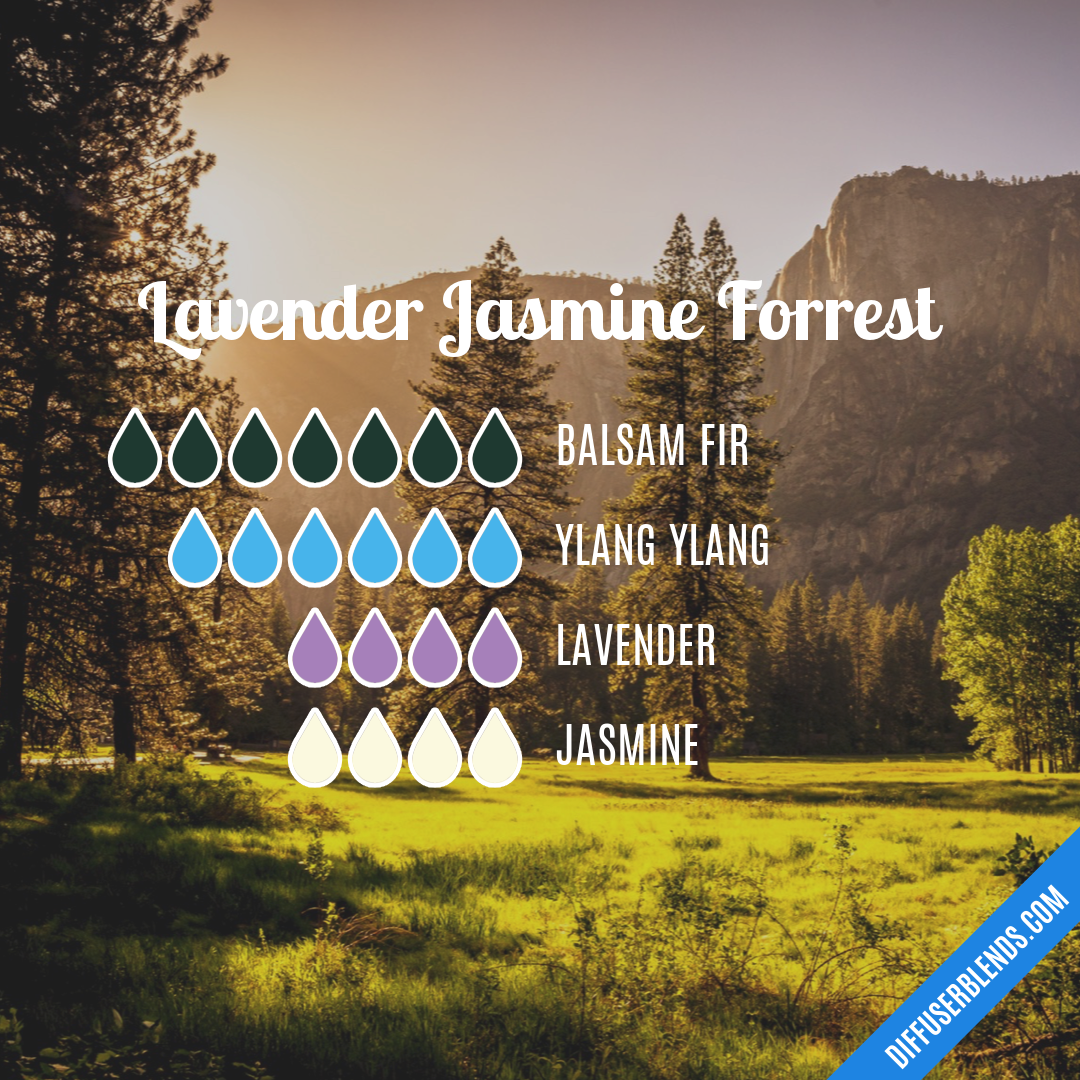 Lavender Jasmine Forrest | DiffuserBlends.com