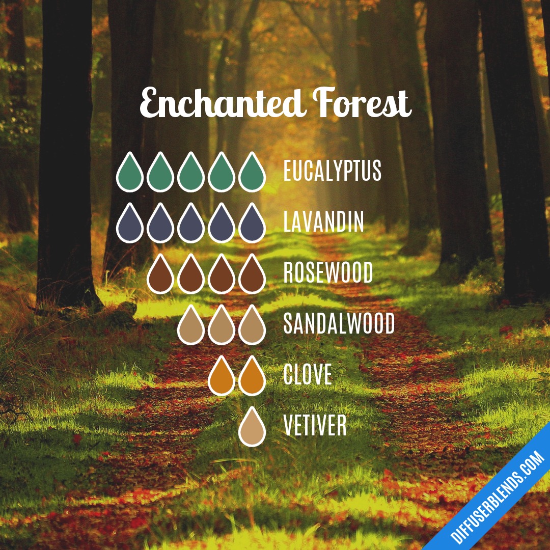 Enchanted Forest | DiffuserBlends.com