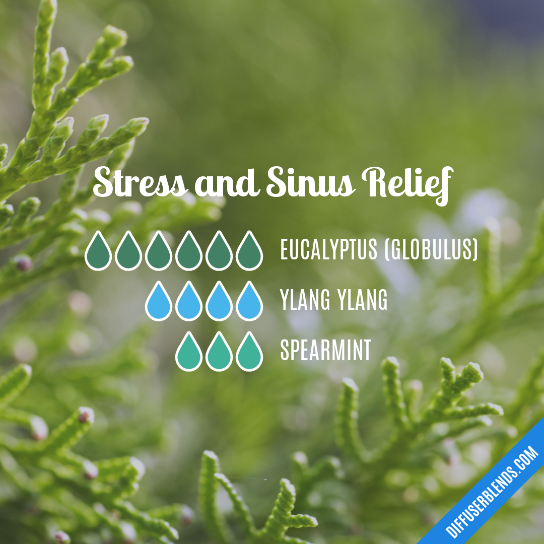 Stress and Sinus Relief | DiffuserBlends.com
