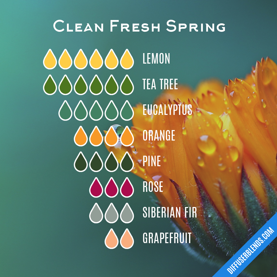 Clean Fresh Spring | DiffuserBlends.com