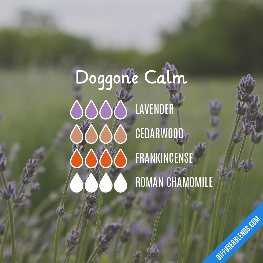 Doggone Calm | DiffuserBlends.com