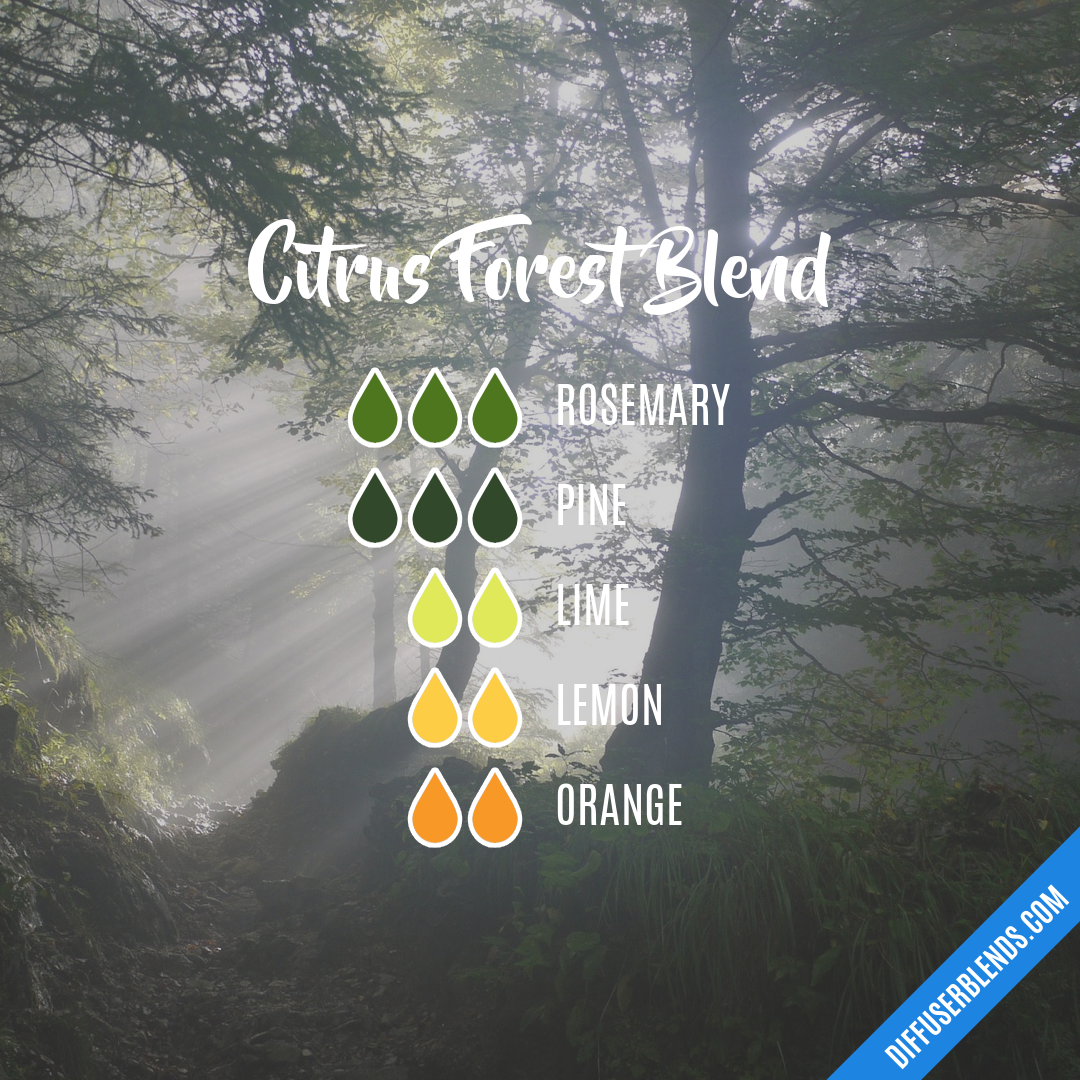 Citrus Forest Blend | DiffuserBlends.com