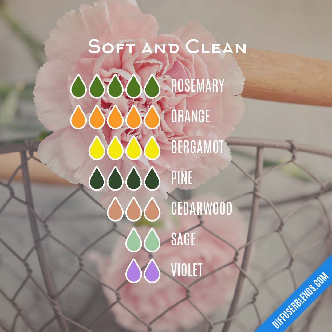 Soft and Clean | DiffuserBlends.com