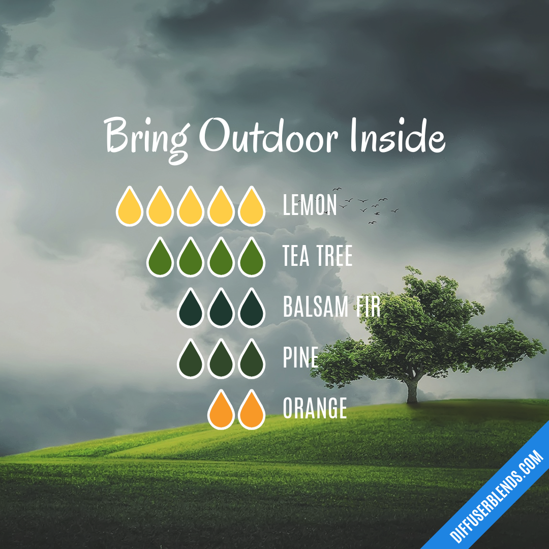 Bring Outdoor Inside | DiffuserBlends.com