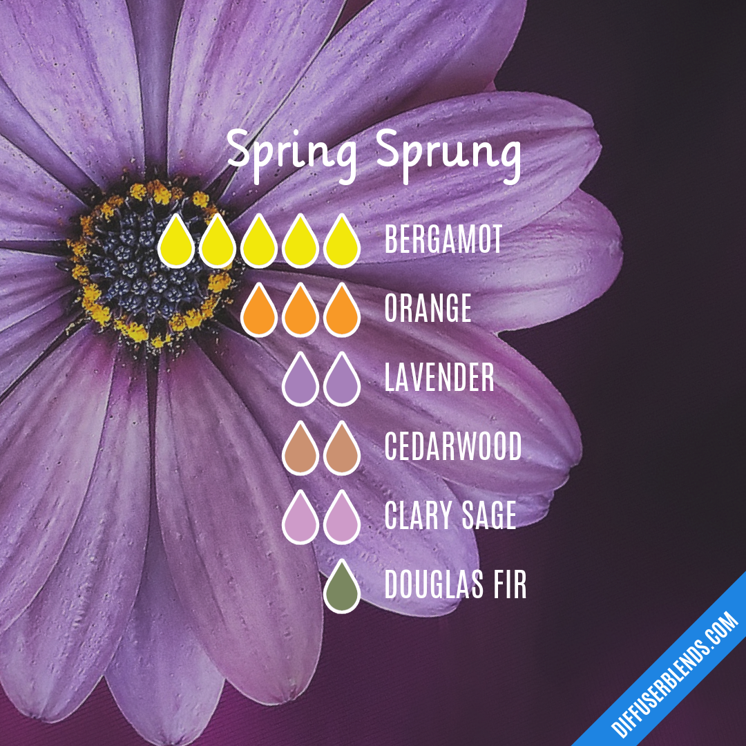 Spring Sprung | DiffuserBlends.com
