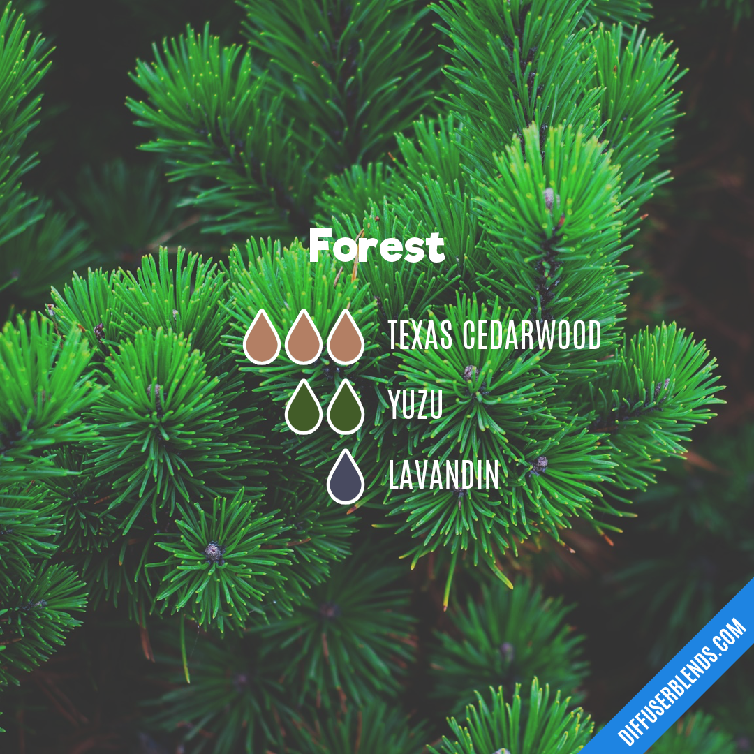 Forest | DiffuserBlends.com