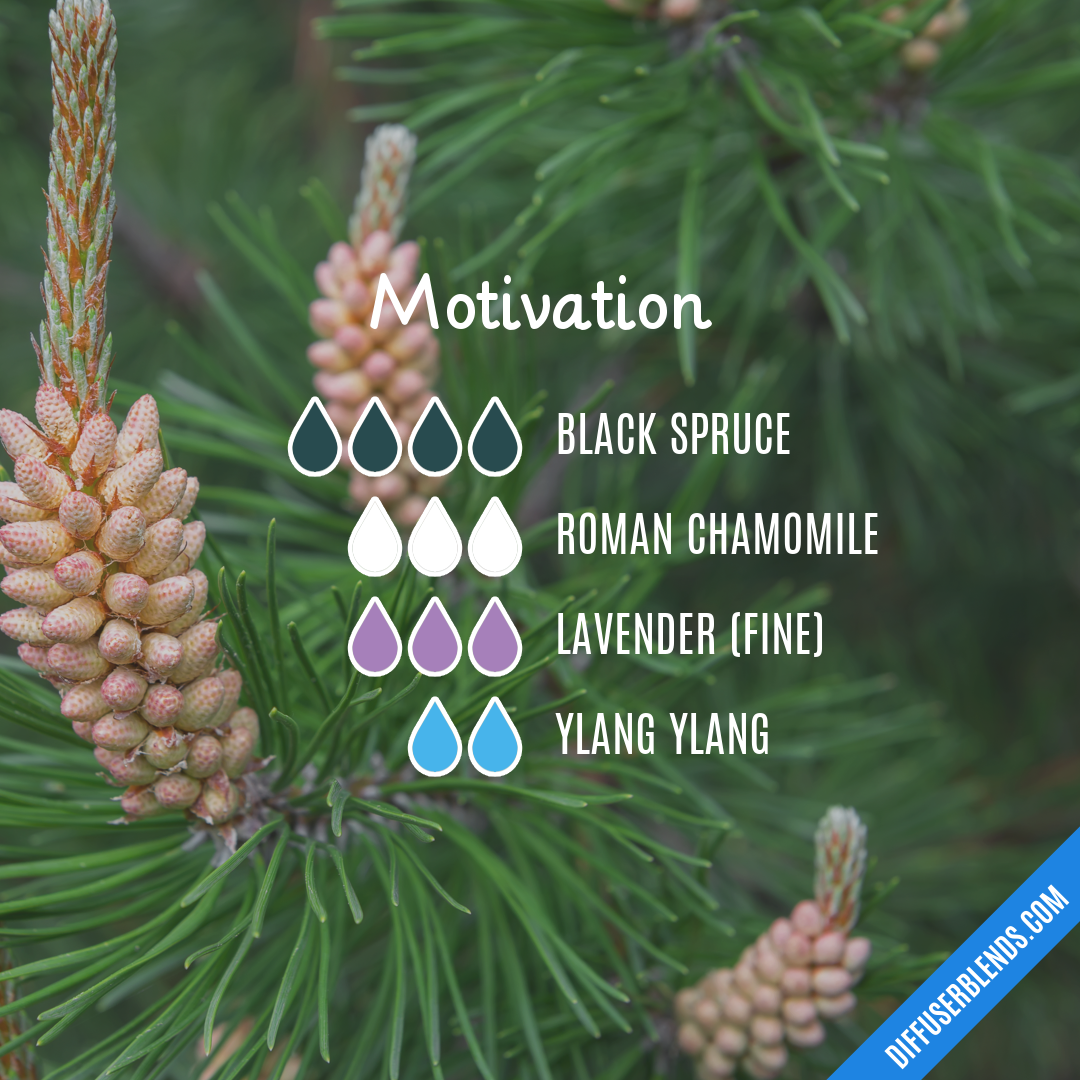 Motivation | DiffuserBlends.com