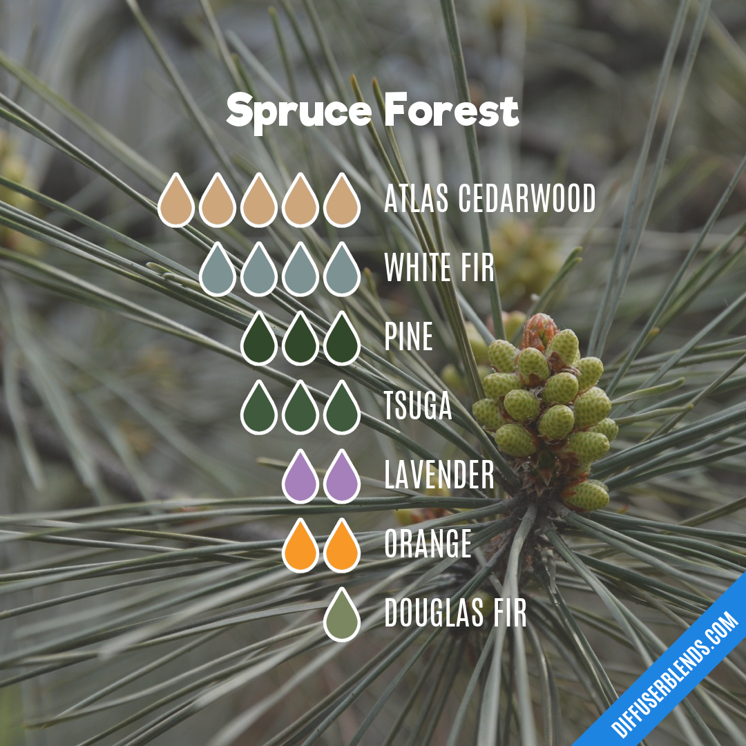 Spruce Forest | DiffuserBlends.com