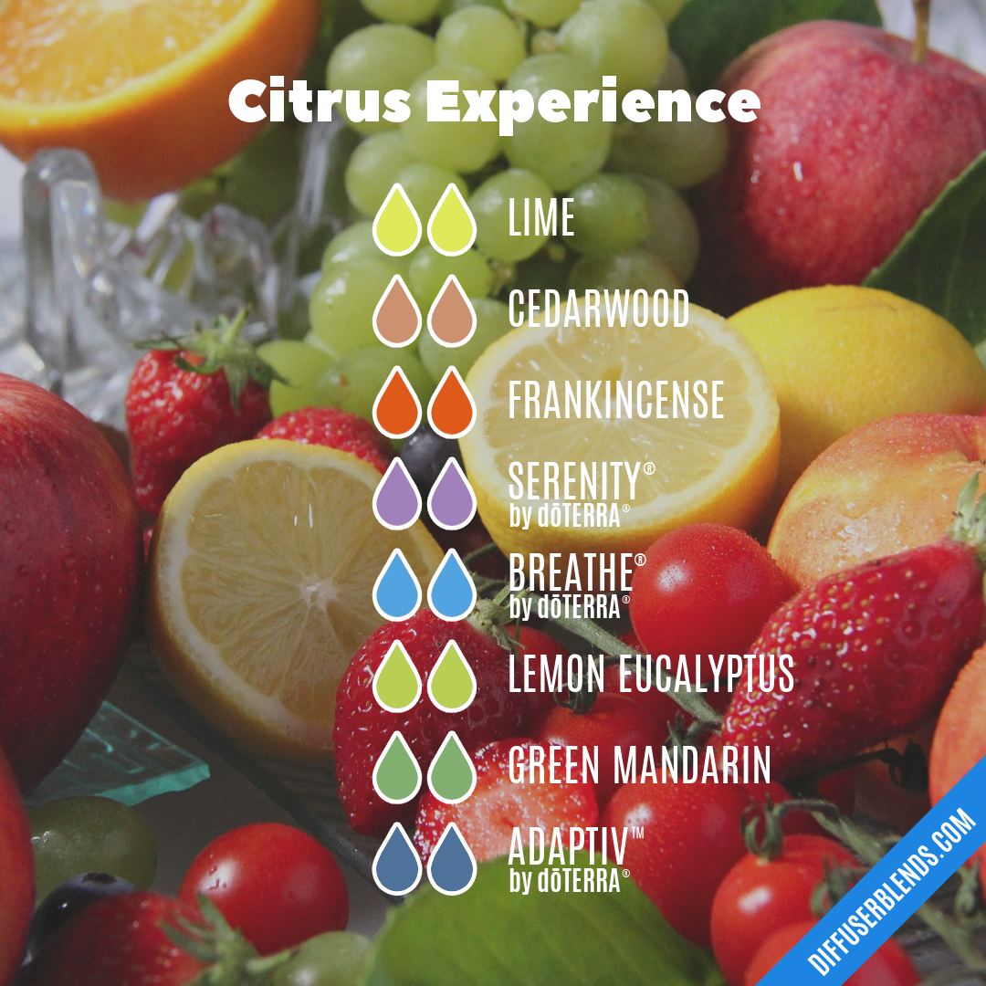 Citrus Experience | DiffuserBlends.com