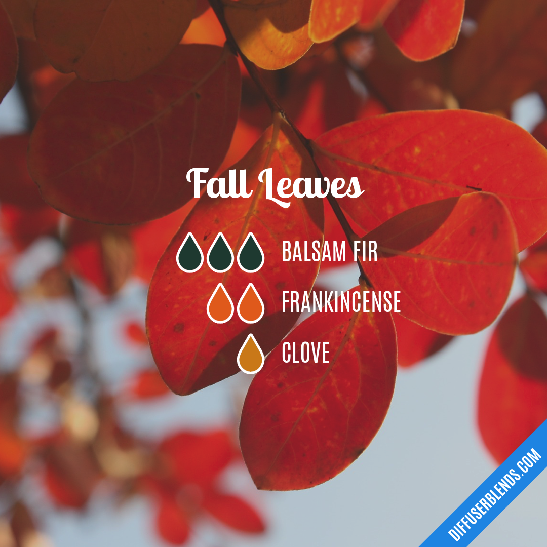 Fall Leaves | DiffuserBlends.com