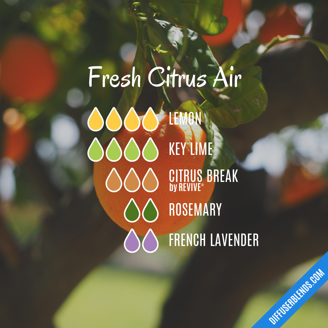 Fresh Citrus Air | DiffuserBlends.com