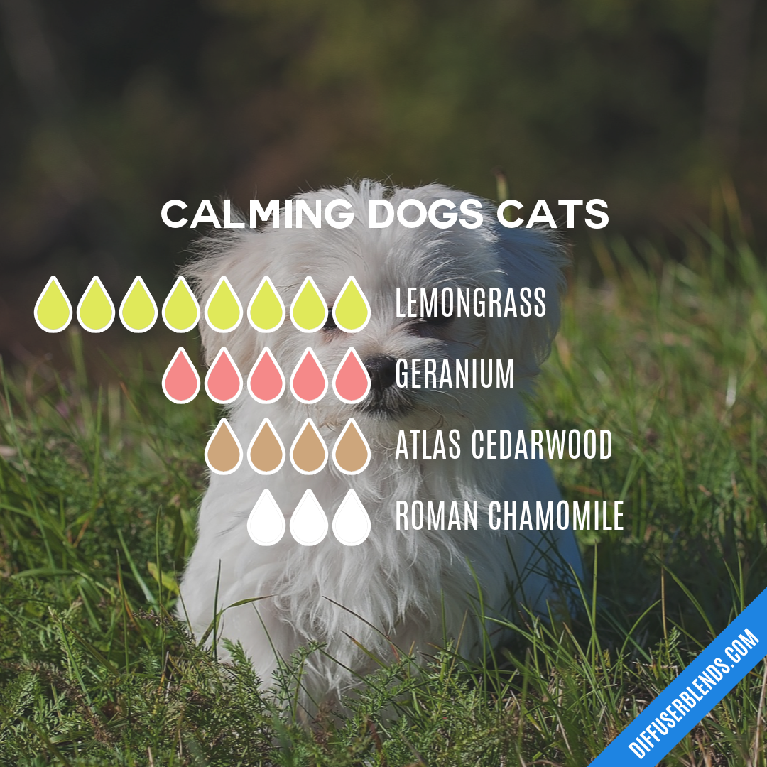 Calming Dogs Cats | DiffuserBlends.com