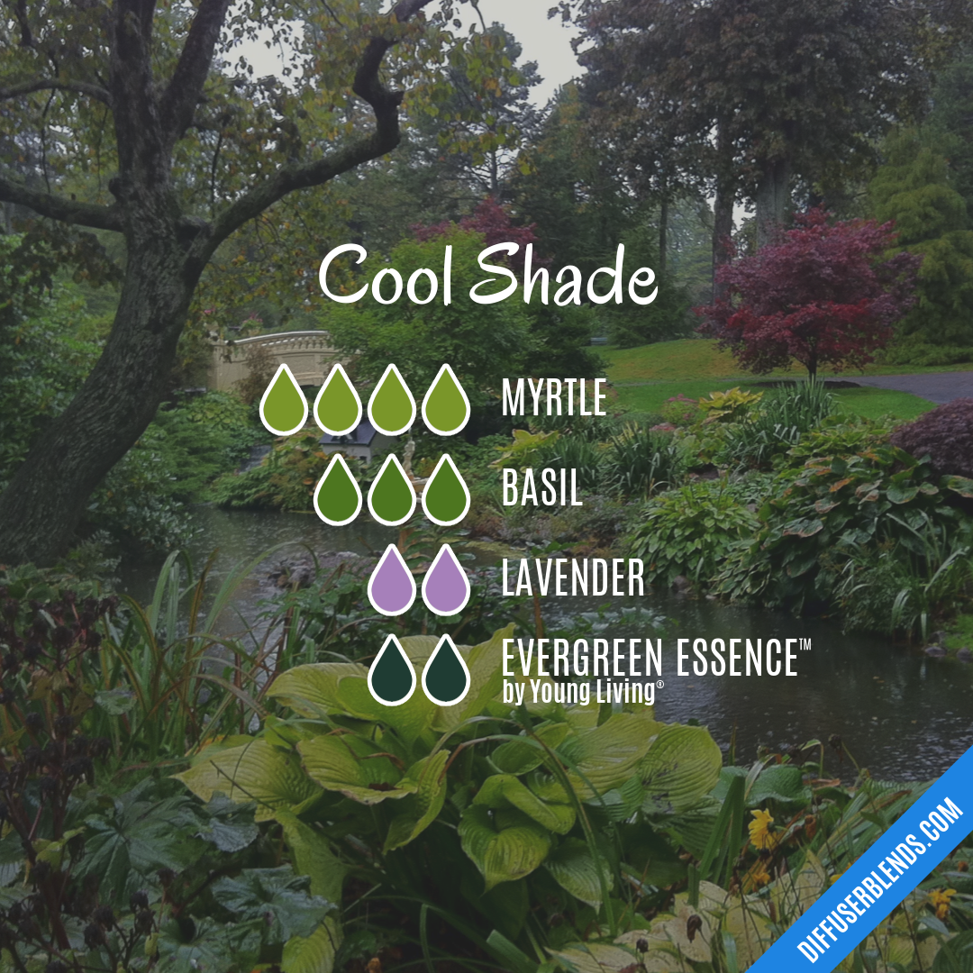 Cool Shade | DiffuserBlends.com
