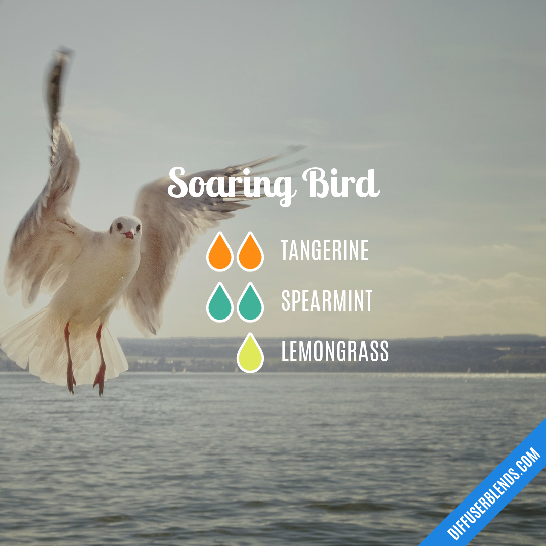 Soaring Bird | DiffuserBlends.com