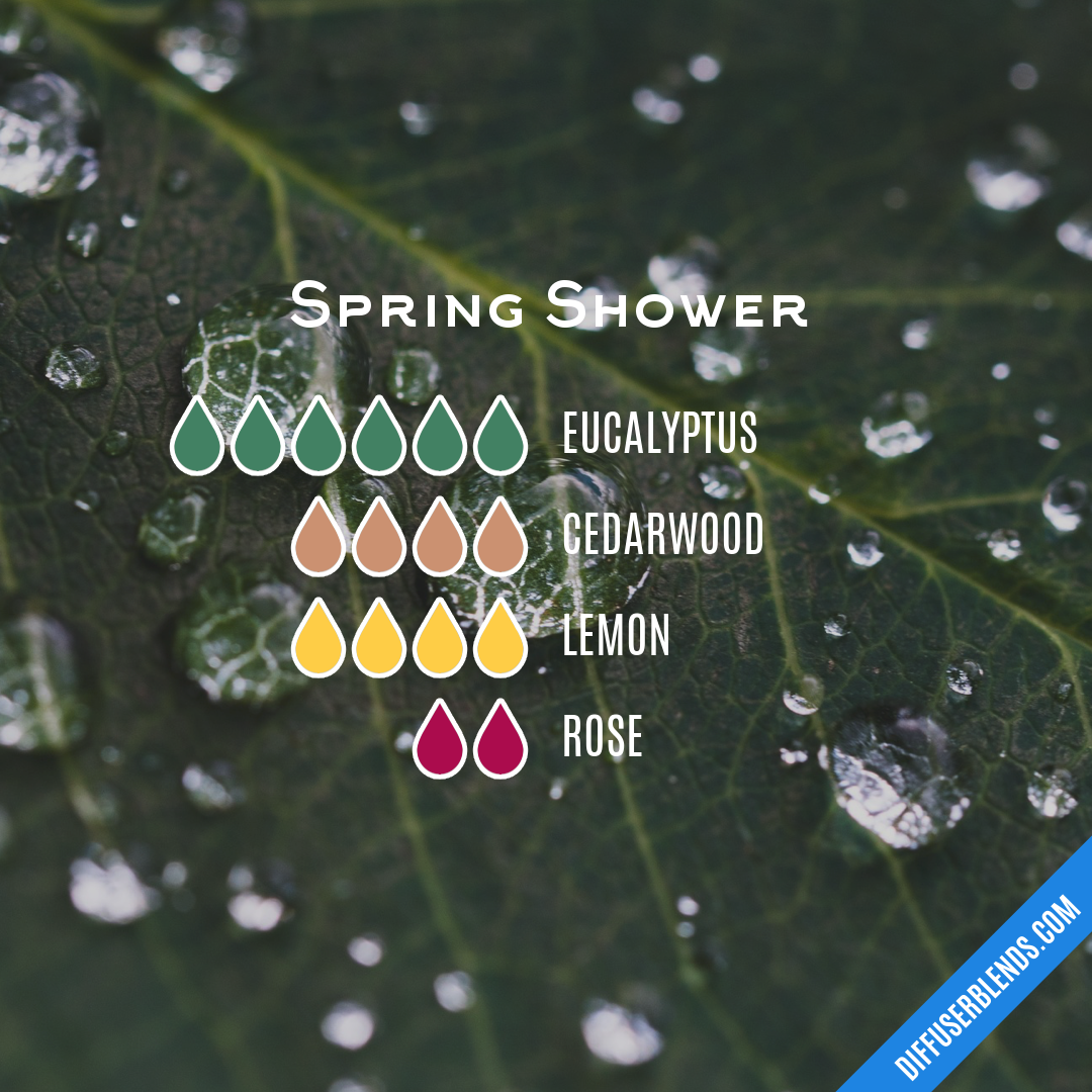 Spring Shower | DiffuserBlends.com