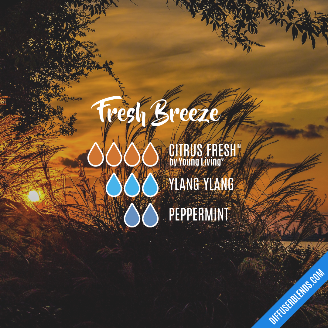 Fresh Breeze | DiffuserBlends.com