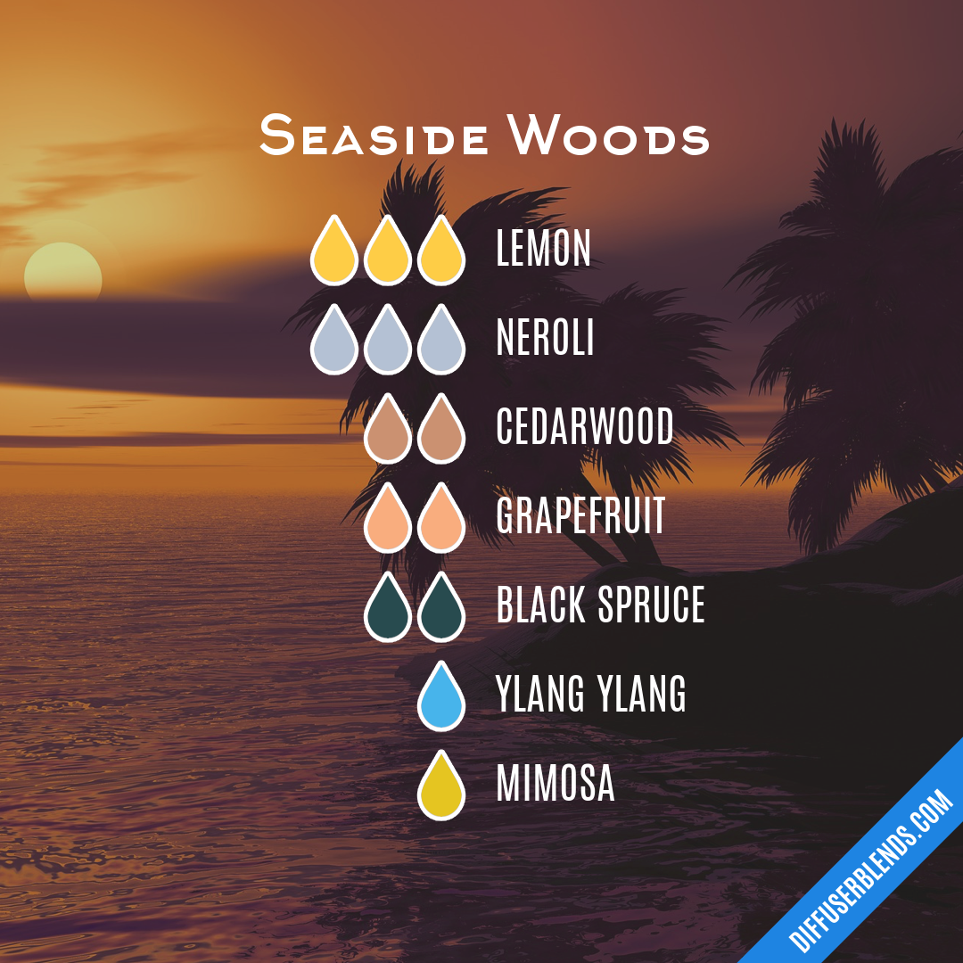 Seaside Woods | DiffuserBlends.com