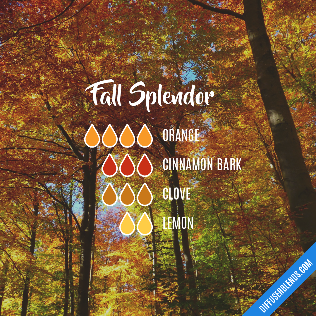Fall Splendor | DiffuserBlends.com