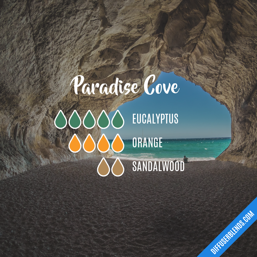 Paradise Cove | DiffuserBlends.com