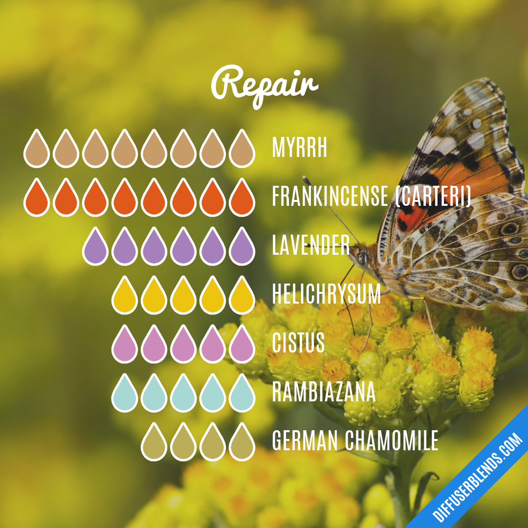 Repair | DiffuserBlends.com