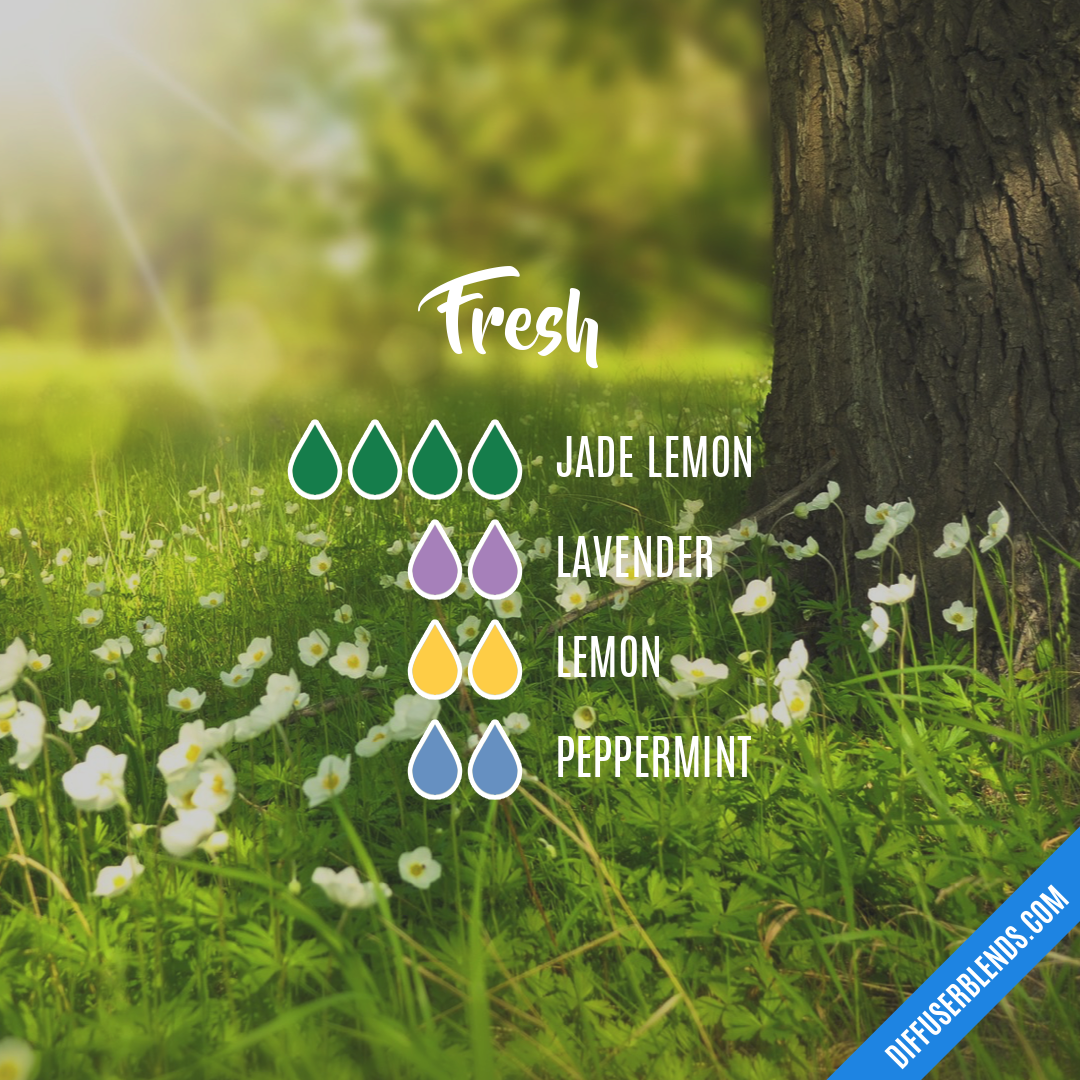 Fresh | DiffuserBlends.com