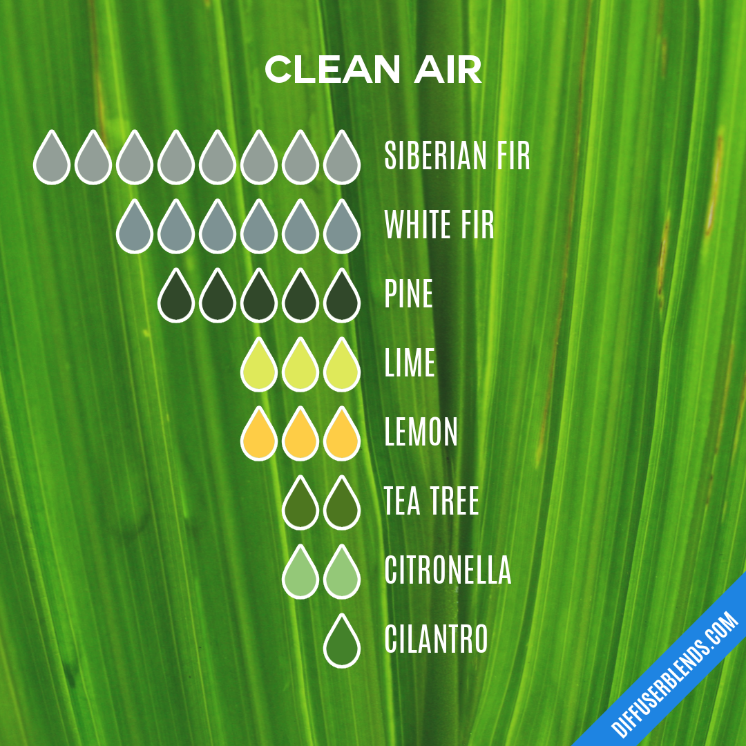 Clean Air | DiffuserBlends.com