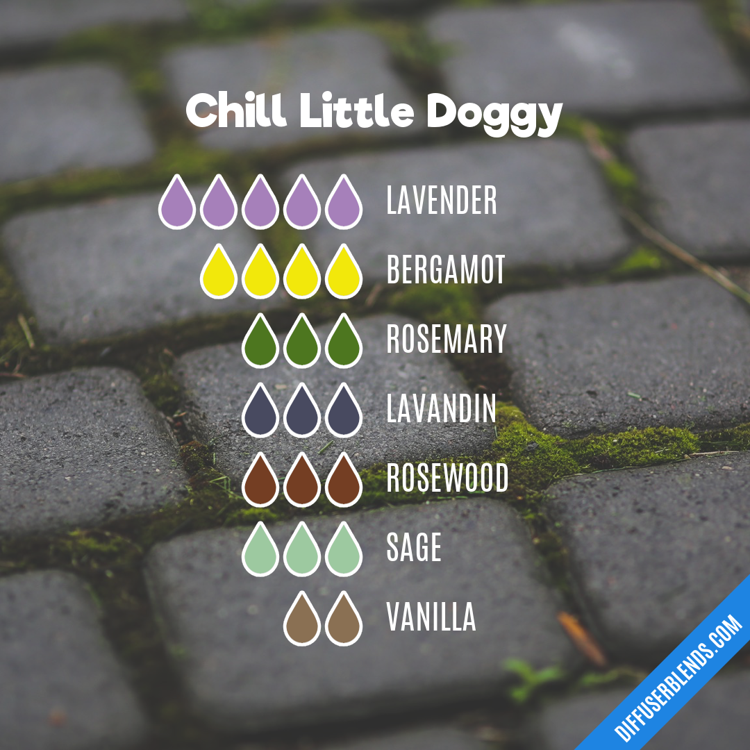 Chill Little Doggy | DiffuserBlends.com