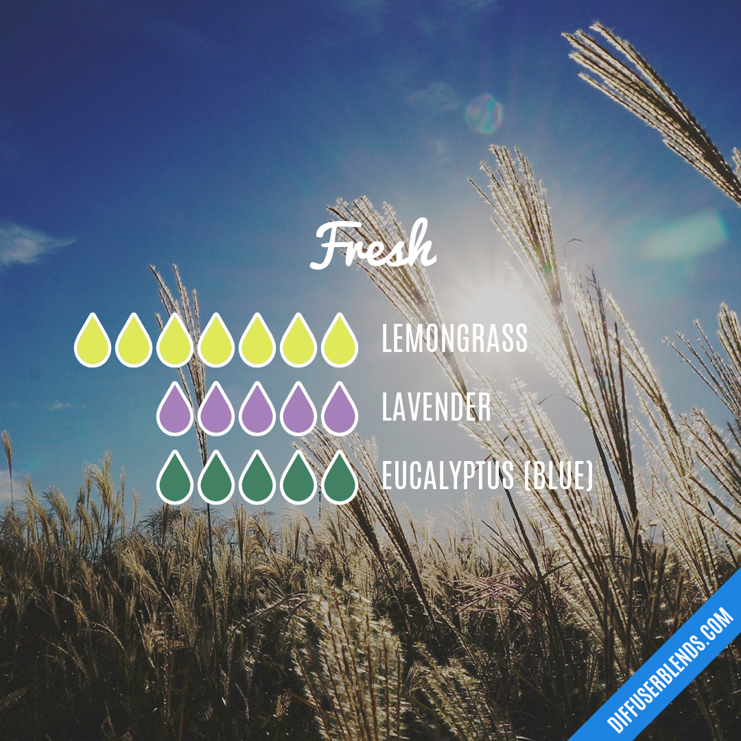 Fresh | DiffuserBlends.com