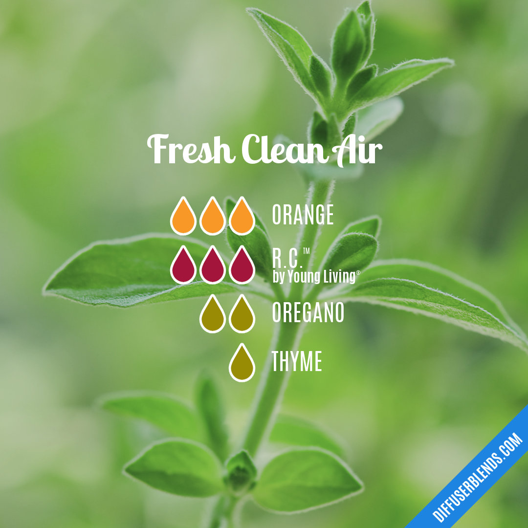 Fresh Clean Air | DiffuserBlends.com