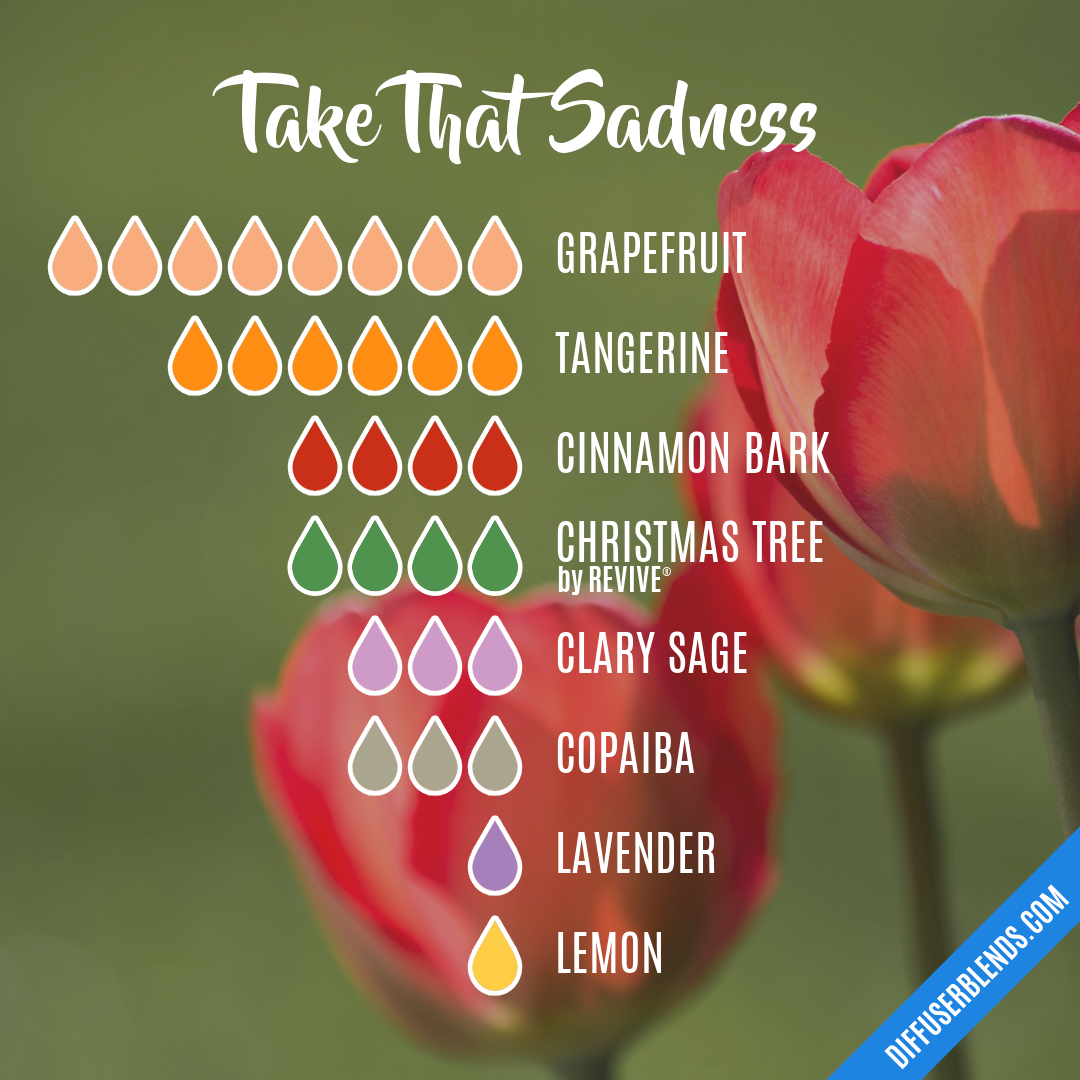 Take That Sadness | DiffuserBlends.com