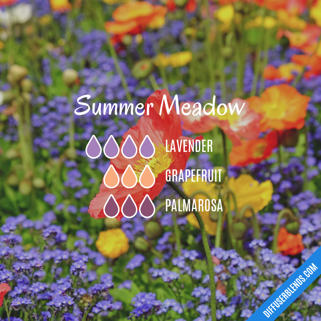 Summer Meadow | DiffuserBlends.com