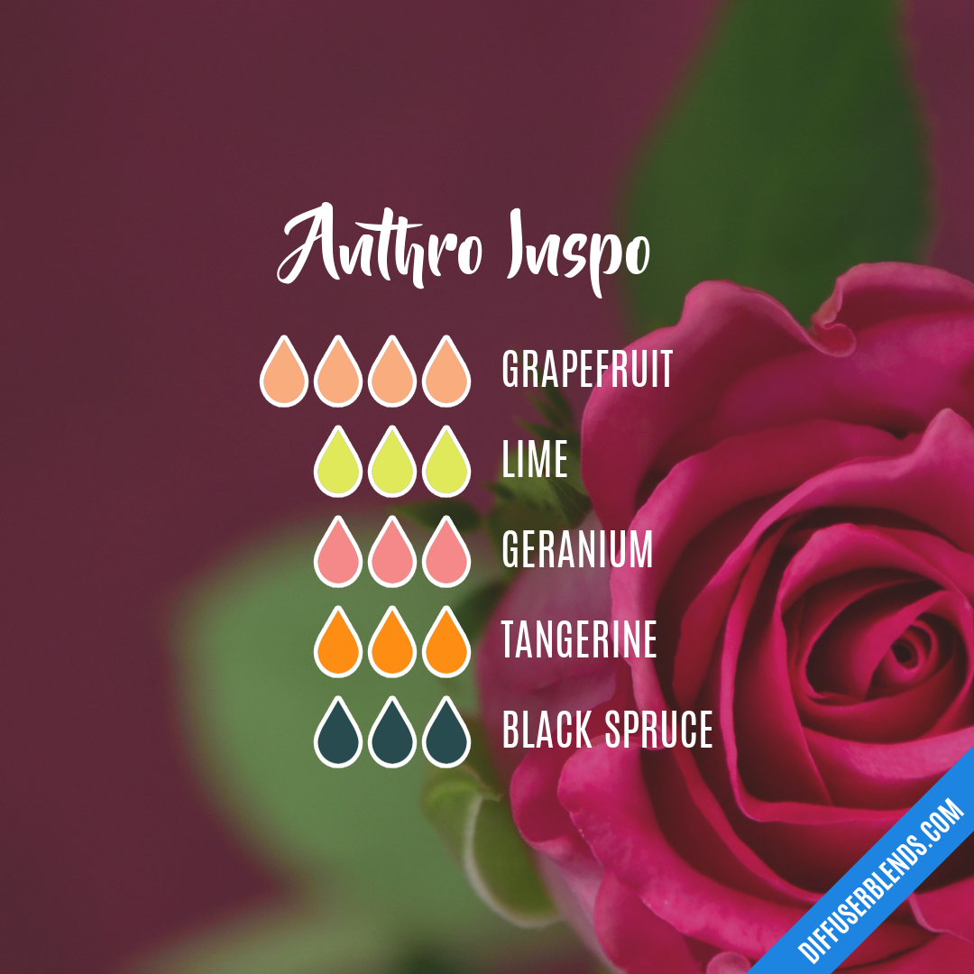 Anthro Inspo | DiffuserBlends.com