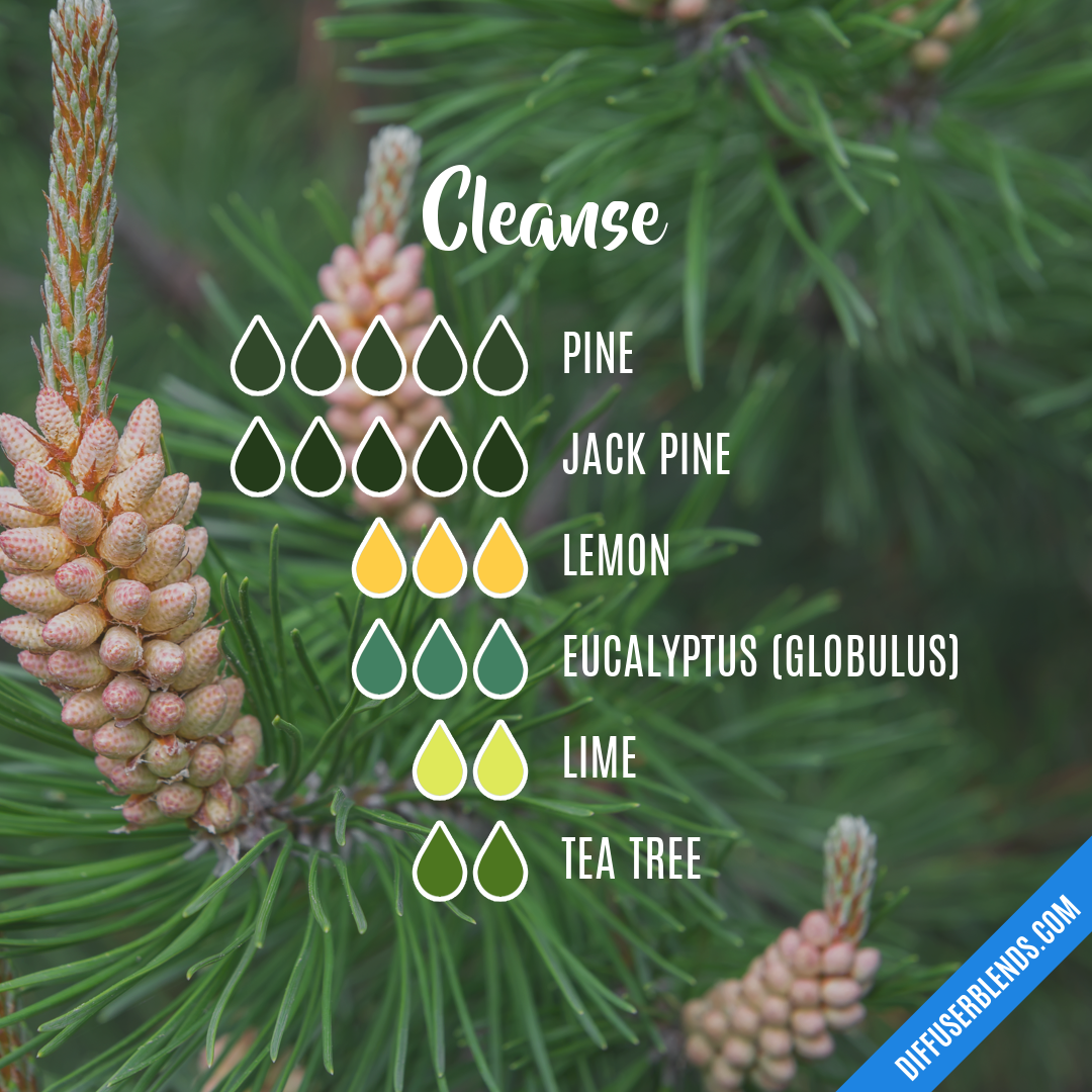 Cleanse | DiffuserBlends.com