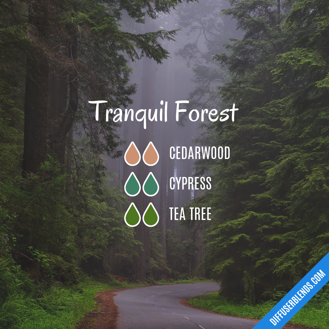 Tranquil Forest | DiffuserBlends.com