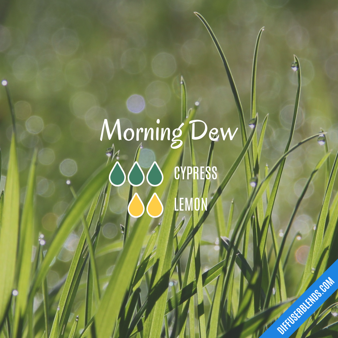 Morning Dew | DiffuserBlends.com